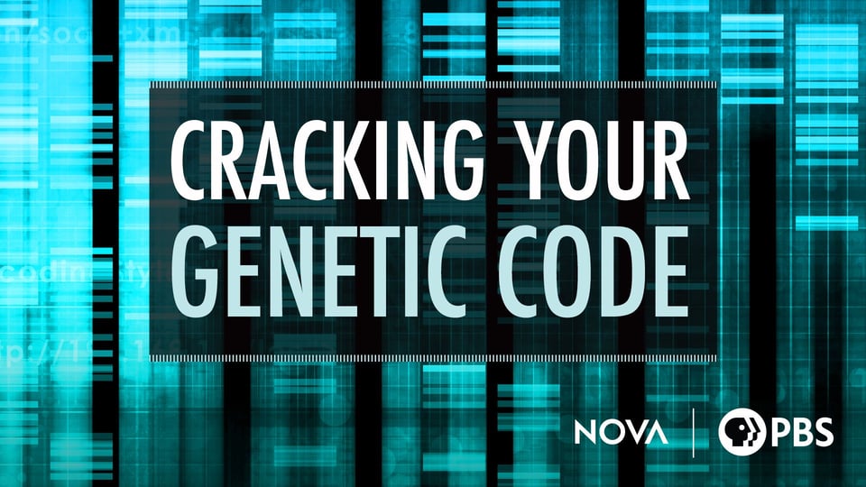 Cracking Your Genetic Code🧬 – Kirsten Pfeiffer 's Ap Bio