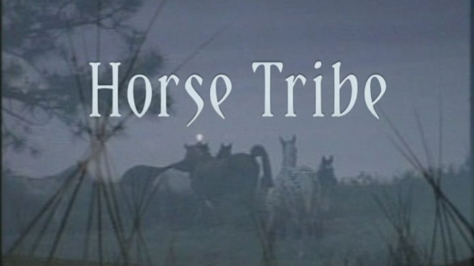 Horse Tribe